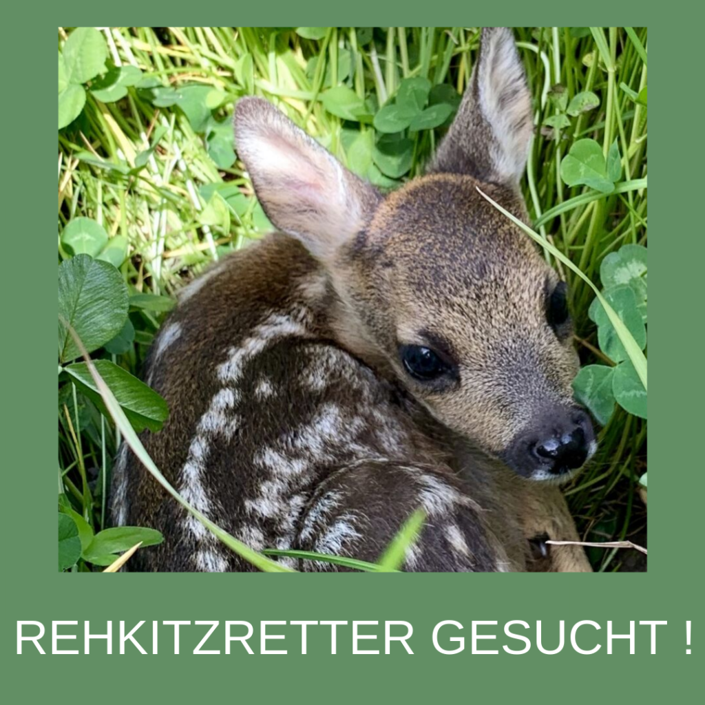 MITMACHEN | Rehkitzrettung Probstei